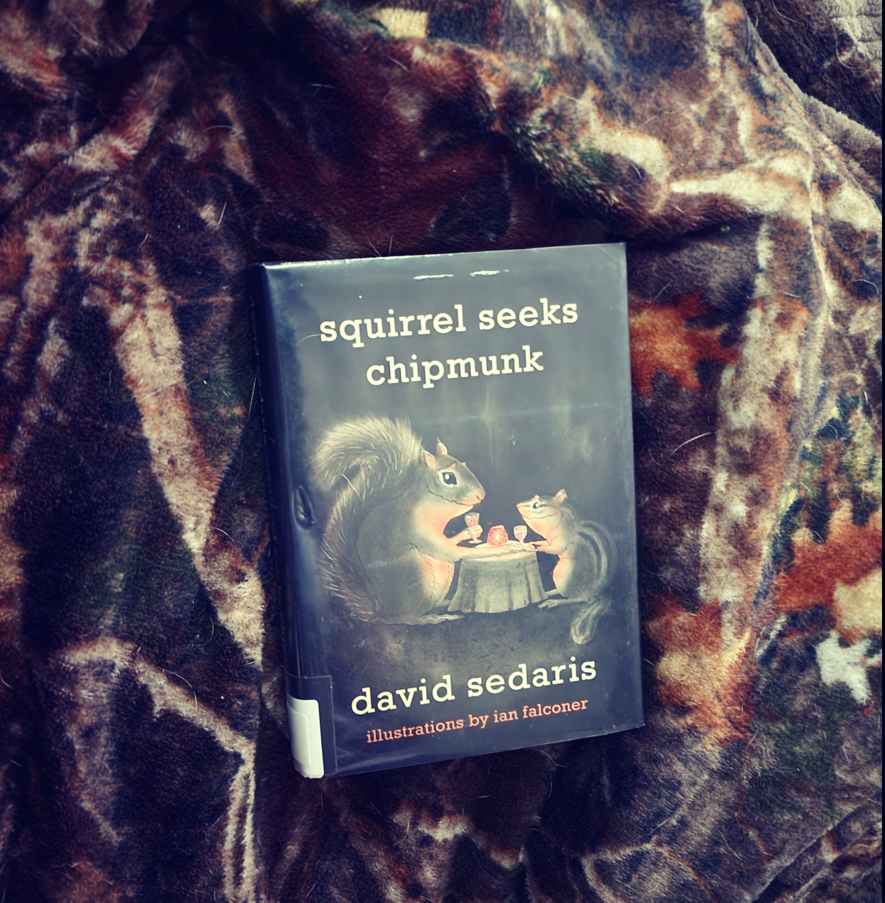 squirrel meets chipmunk by david sedaris – Alessandra is reading…